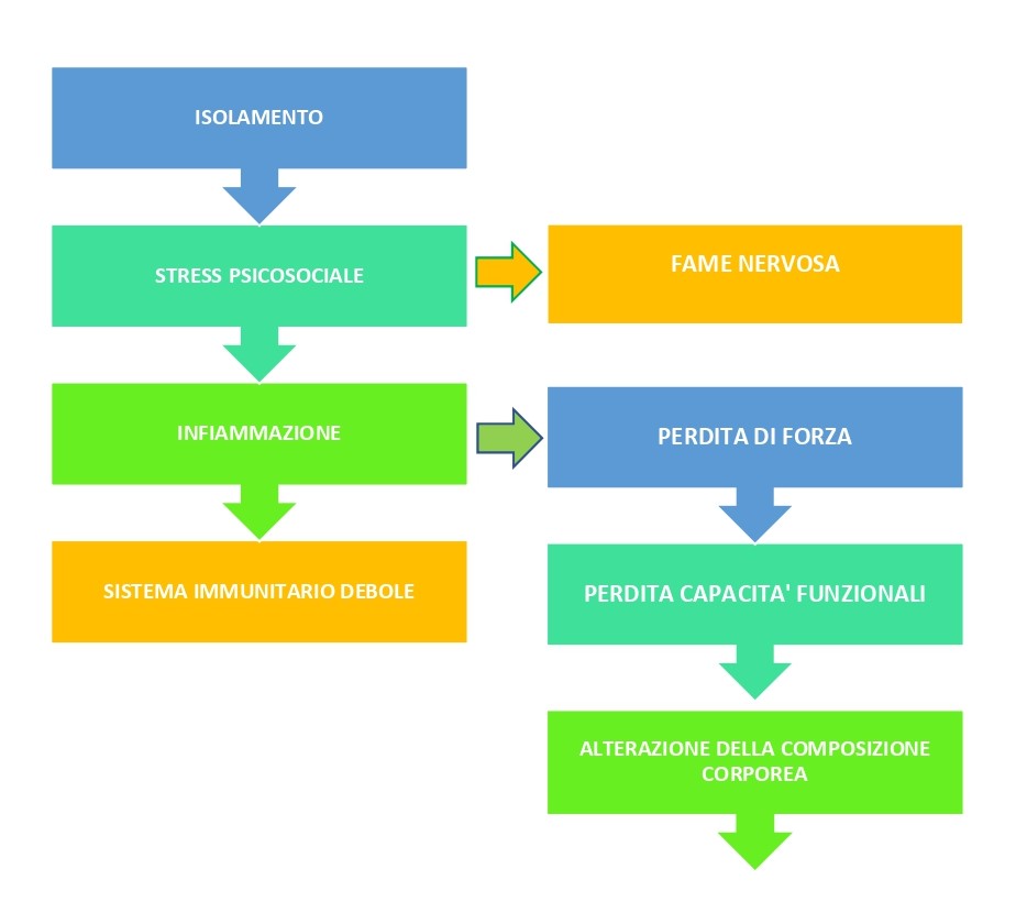 Dott. Angelo Falzone | Personal Trainer Pavia