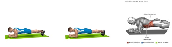 Dott. Angelo Falzone | Personal Trainer Pavia