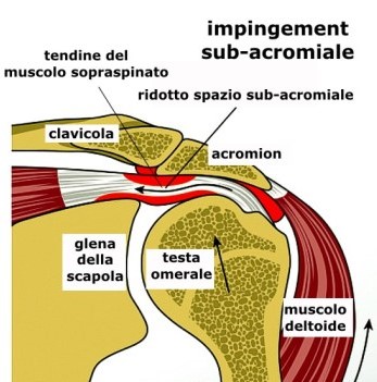 Dott. Angelo Falzone | Personal Trainer Pavia