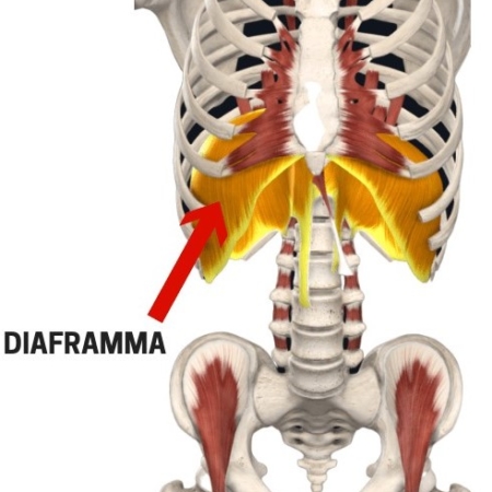 Dott. Angelo Falzone | Personal Trainer Pavia